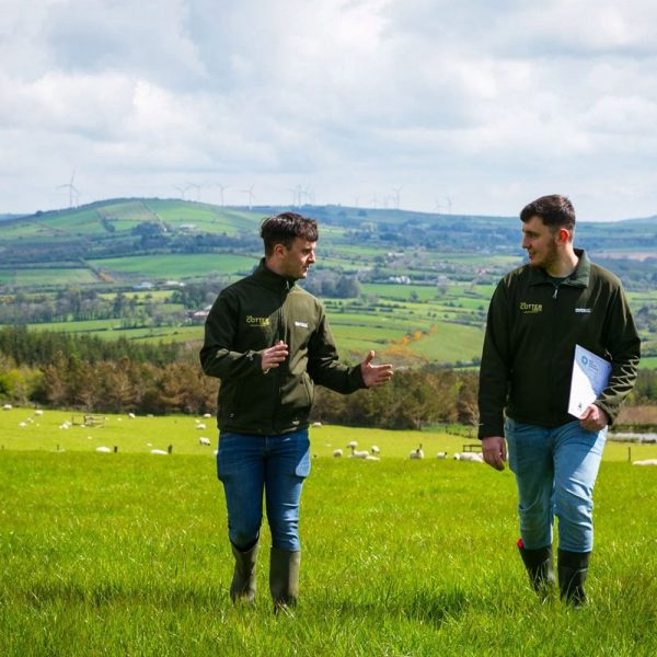 Yield Lab Europe – The leading funder of early stage Agri Food-Tech ...