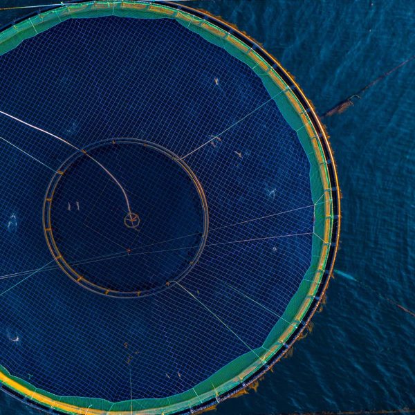 Yield Lab Europe – The leading funder of early stage Agri Food-Tech ...